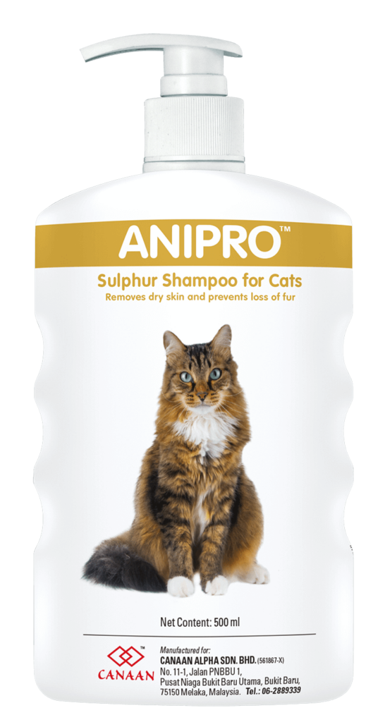 Anipro Sulphur Shampoo for Cats | Fast Itch & Fungus Relief