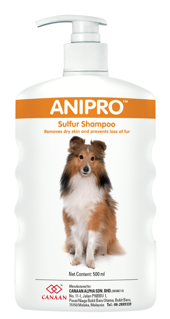 Anipro Sulphur Shampoo for Dogs | Relieves Itching & Flakes